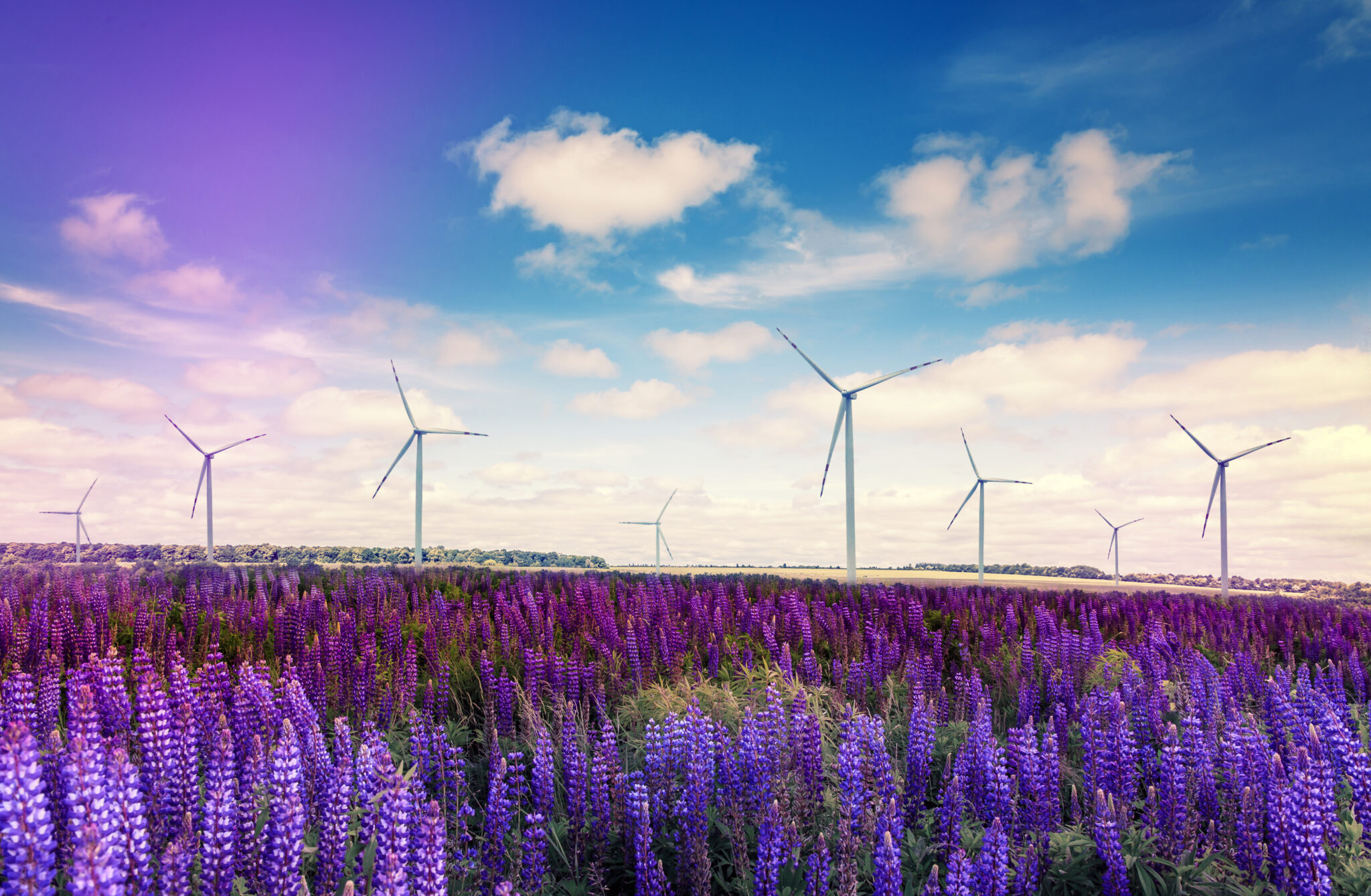 Engineering – ATA Renewables